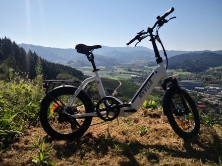 E-Bike mit Heckmotor – Hinterradmotor von Bafang & Co. im Test